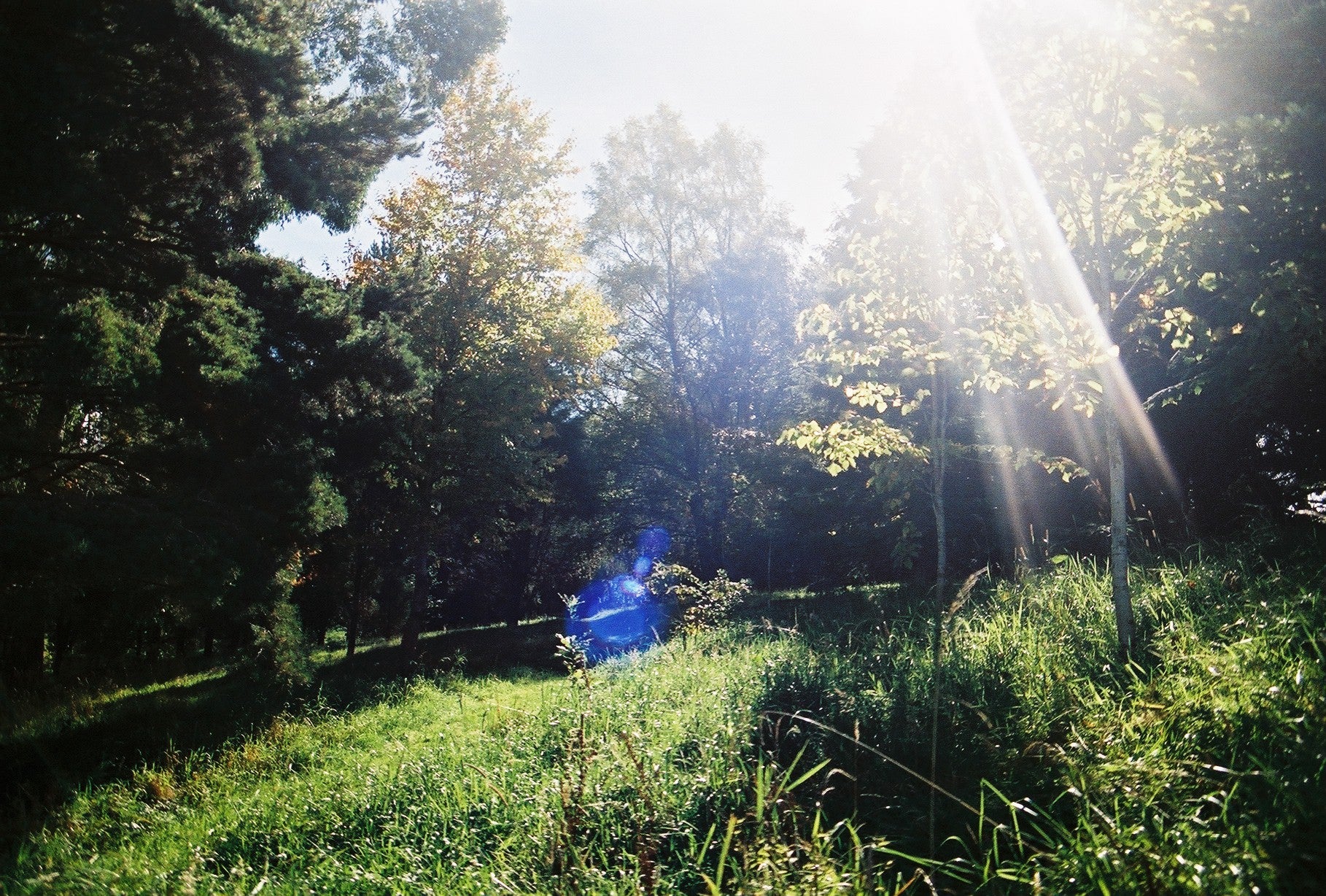 About Us – Sun Dazed | Hand Made